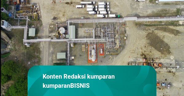 Kemenko Marves: Pemerintah Prabowo Bakal Lanjutkan CCS/CCUS | kumparan.com